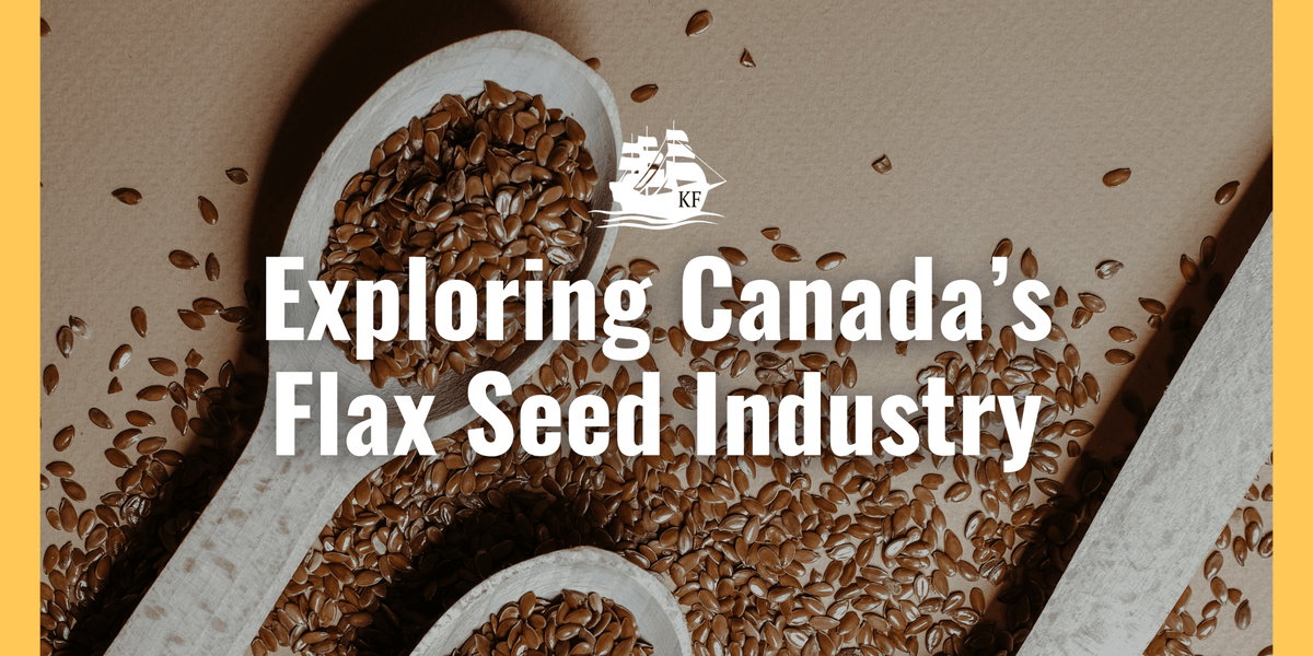 Exploring Canada's Flax Seed Industry | KingsFleet Inc
