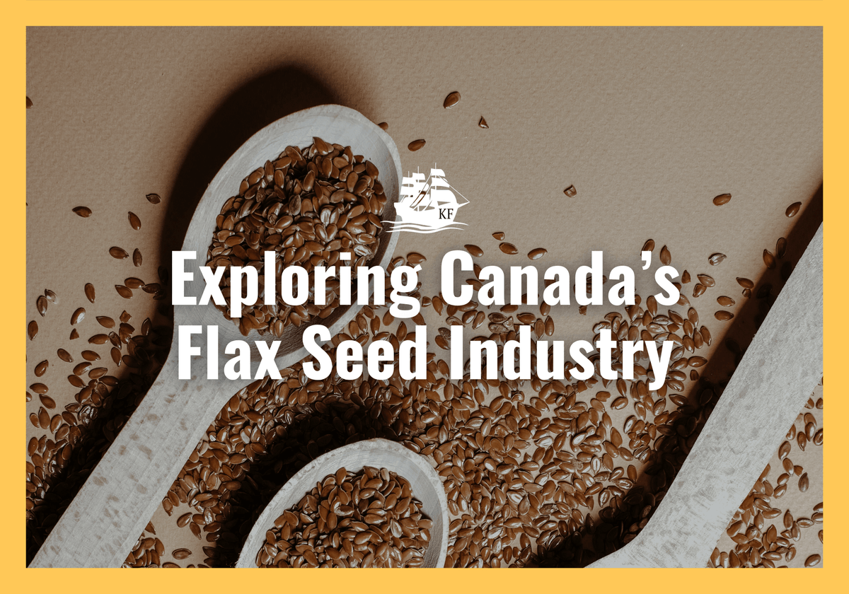 Exploring Canada's Flax Seed Industry | KingsFleet Inc